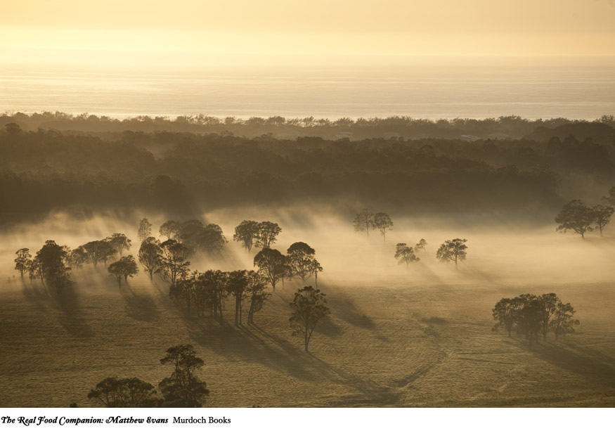 ALAN BENSON PHOTOGRAPHY